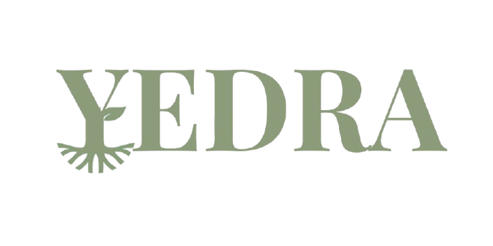 Yedra